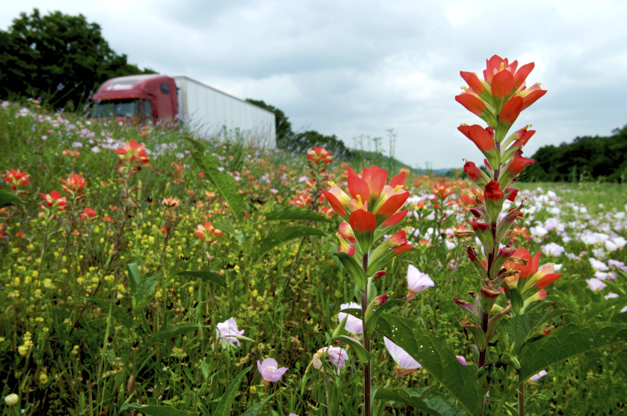 Highway 13 Butterfly Trail Donors - We believe recognition matters.